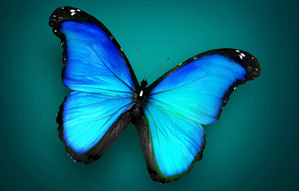 Union of Canadian Transportation Employees – Proud component of the PSAC